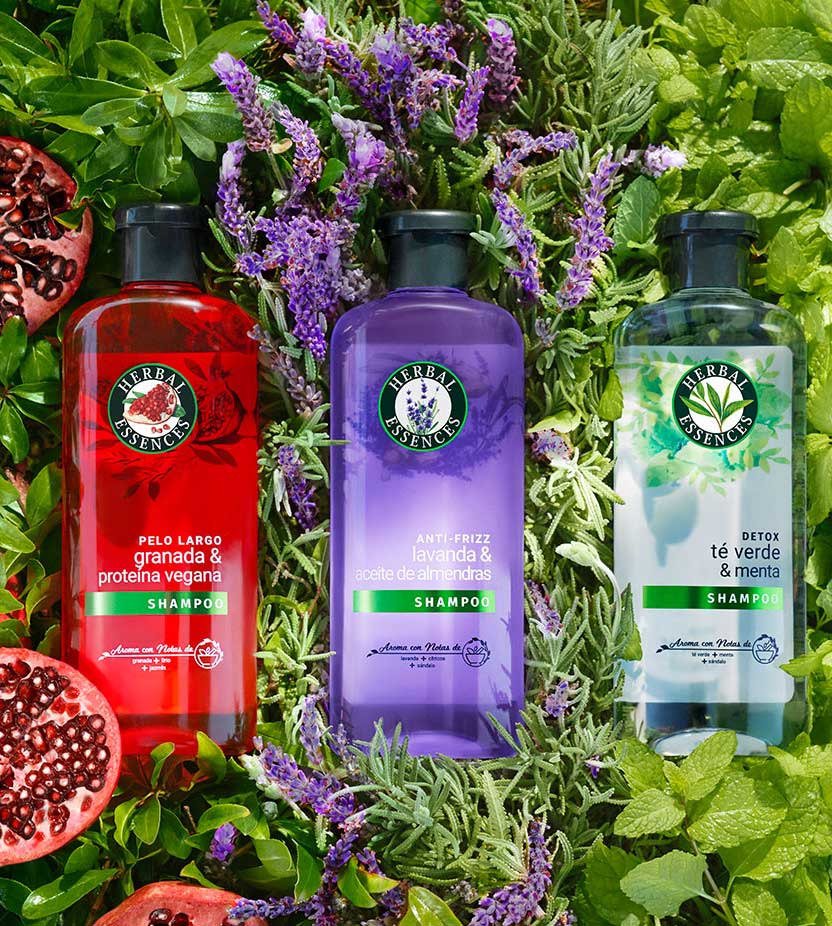 شامپو ترمیم کننده موهای بلند هربال اسنسز Herbal Essences Prolongalos ...
